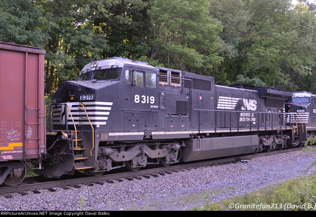 NS 8319